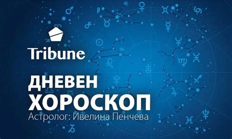 Дневен хороскоп четвъртък 28 ноември 2024 ᐉ Новини Tribune Bg