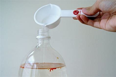 How To Make Homemade Bird Repellent Spray Bird Deterrents Bird Repellents Bird Repellent Spray