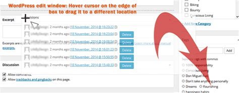 How To Delete Post And Page Revisions And Arrange Edit View