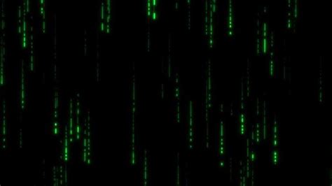 Live Wallpaper Hacker Stock Video Footage For Free Download