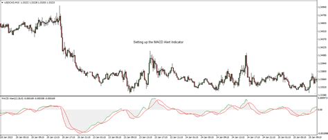 Macd Alert Indicator The Forex Geek