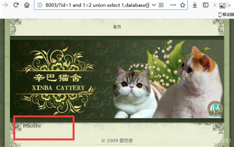 手工注入 猫舍为例） 猫舍注入 csdn博客
