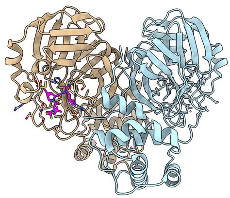 Chimerax Structure Visualization Chimerax Structure Visualization