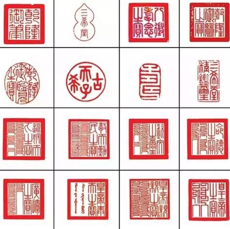 同宝不同命它竟成功逃过乾隆弹幕