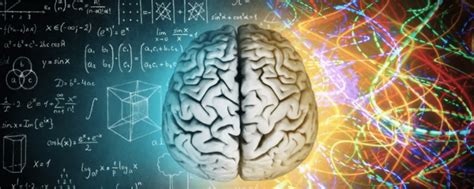 Neuroscience 3d Bioprinting Of Human Neural Tissues