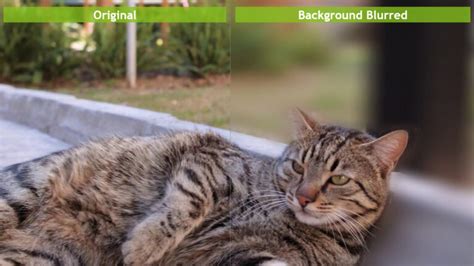vpf hardware accelerated video processing framework in python nvidia
