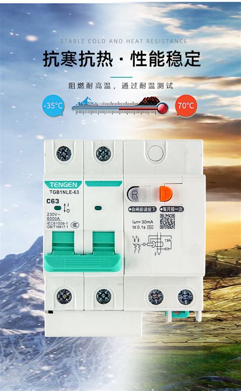 天正tgb1nle 63漏电保护断路器1pn2p3pn4p漏保dz47le 47开关 阿里巴巴
