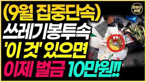 9월 집중단속 쓰레기봉투속 겨우 이것 때문에 과태료 폭탄 맞습니다 분리배출방법 반드시 확인하세요 Youtube