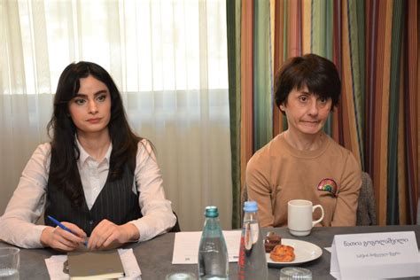 შშმ პირთა უფლებების კონვენციის საკონსულტაციო საბჭოს სხდომა… Flickr