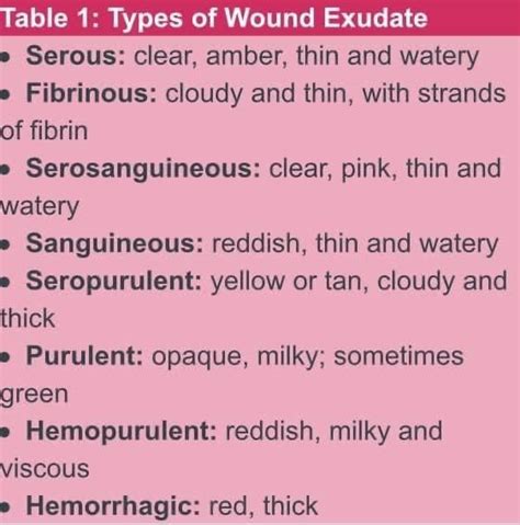 Nursing Documentation Discover 11 Nursing Documentation Examples Ideas Nursing Documentation