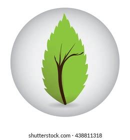 Isolated Abstract Tree Label Vector Illustration Stock Vector Royalty Free 438811318