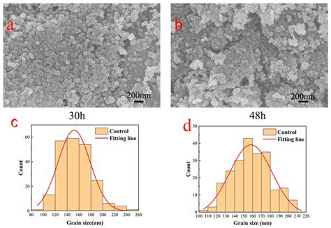Cellular Toxicity Tests A And Cell Morphology Of Untreated B