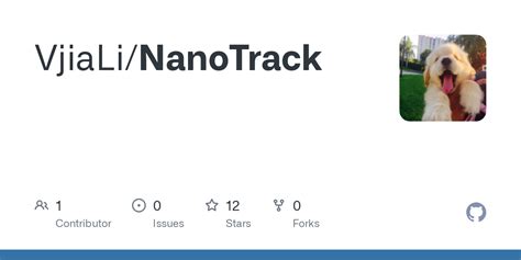 GitHub VjiaLi NanoTrack