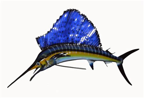 Sailfish Sailfish