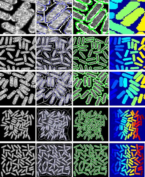 Figure From D Segmentation For Super Resolution Imaging Of Bacterial Biofilms Semantic