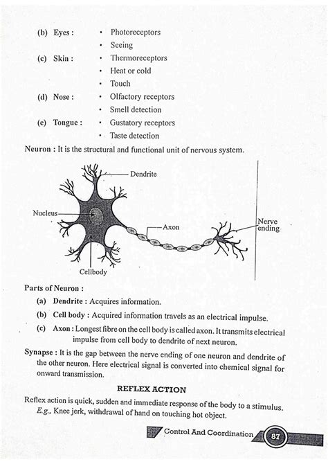 SOLUTION Control And Coordination Class Th Notes Studypool