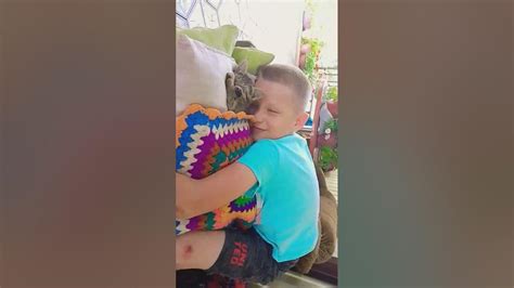 котёнок ️ Youtube