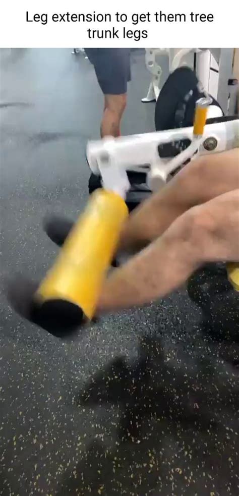 Leg Extension To Get Them Tree Trunk Legs IFunny