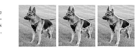 Original Image Left Standard Normalized Cut Algorithm Middle And Download Scientific