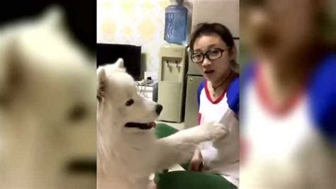狗狗和女主人玩，趁不注意，竟偷袭女主人，实在太坏了腾讯视频