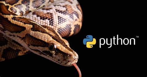 Imagesc Python