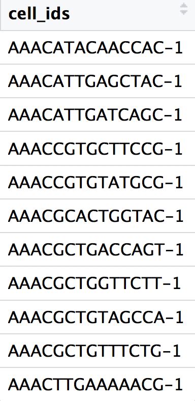 Creating Count Data Object Introduction To Single Cell Rna Seq Archived