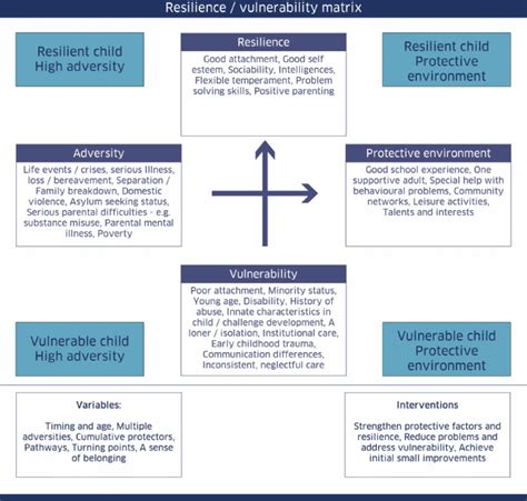 Shanarri Vulnerabilitymatrix Pdf