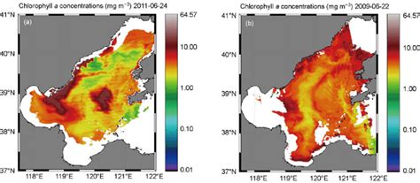 Bohai Sea Chlorophyll Distributions For Chlorophyll On 24 June 2011 Download Scientific Diagram