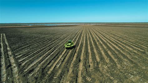 Real Time Density Sensor Phibion