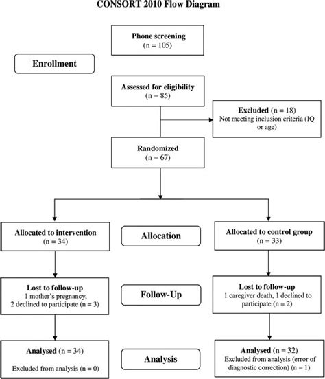 Clinical Trial Flow Chart Template
