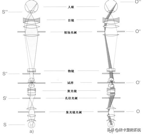 徠卡課堂 顯微鏡光學知識講解 照明系統篇 每日頭條