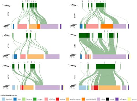Quantitative Interaction Networks From Each Site Calculated Using The Download Scientific