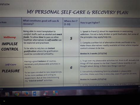 Diabetes Management Plan Template Shooters Journal