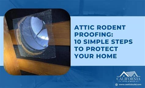 Attic Rodent Proofing Secure Your Home Today