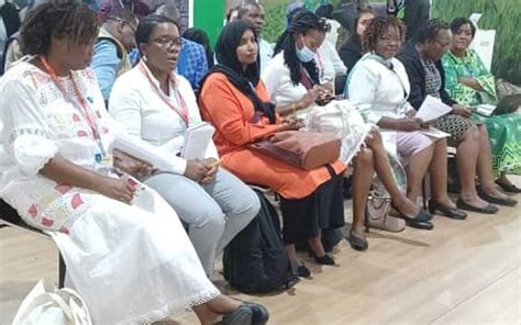 Zim Launches Climate Change Gender Action Plan Zimbabwe Situation