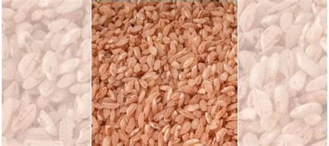 Рис Девзира купить в Мосрентген Товары для дома и дачи Авито