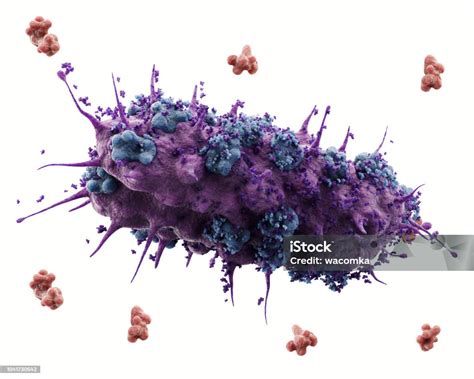 3d 렌더링 미생물 배경 바이러스 병원 체 감염 건강 관리 흰색 절연 요소 3차원 형태에 대한 스톡 사진 및 기타 이미지 3차원 형태 감기와 독감 건강관리와 의술