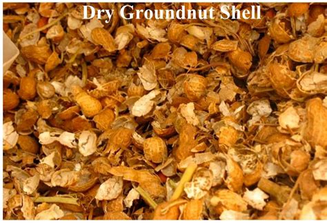 Dry Groundnut Shell Packaging Type Loose At ₹ 650kg In Jaipur Id