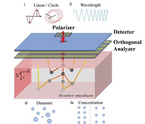 我校信息光电子科技学院李昕明研究员课题组在可穿戴光电识别系统的研究中取得重要进展 华南师大新闻网