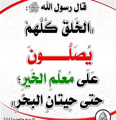 فيديوبوك بنحبك يا بلادي