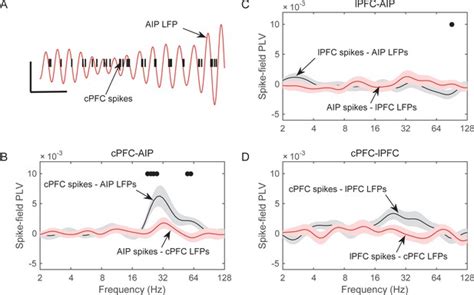 Figures And Data In Synchronous Beta Rhythms Of Frontoparietal Networks