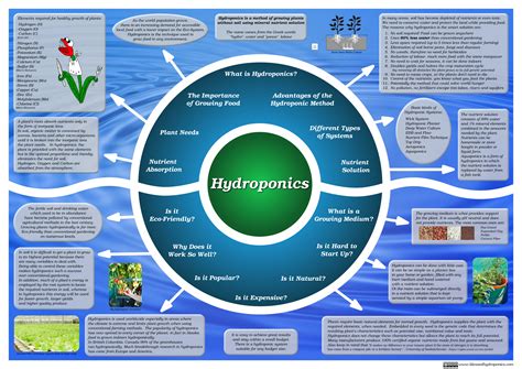 Hydroponics Diy Aquaponics System Poster