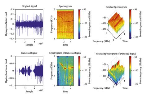 Typical Sound Presentations Produced By Dolphins And Whales And Their Download Scientific