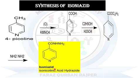 Isoniazid Inh Synthesis Metabolism Anti Tb Drugs Tuberculosis Medicinal Chemistry