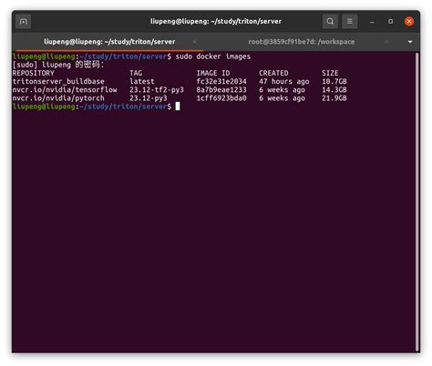 tritonserver学习之二：tritonserver编译 csdn博客