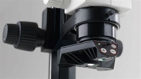 Selecting The Right Dissecting Microscope Learn And Share Leica