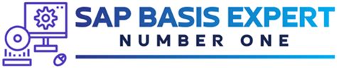 Sap Basis Expert Number One Sap Basis Expert Number One