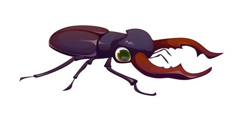 Proboscis Insect Vector Art Icons And Graphics For Free Download