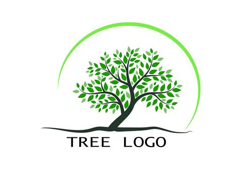 Black Branch Tree Or Naked Trees Silhouettes Set Hand Drawn Isolated Illustrations
