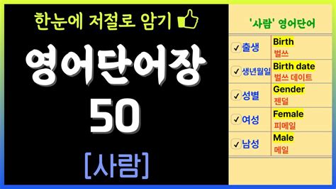 궁금했던 사람 영어단어 알아두세요 한눈에 저절로 암기 생활영어 기초영어회화 왕초보영어 치매예방 기억력 향상 Youtube